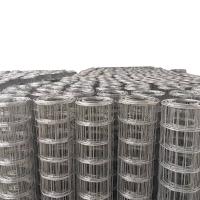 China Large Stock Square Hole Galvanized Welded Wire Mesh for Anti-Rust and Electro Galvanized for sale