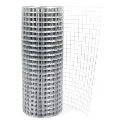 China Factory Direct Supply Cheap Price Steel Matting Galvanized Welded Wire Mesh Bird Cages Welded Wire Mesh In 12 Gauge for sale