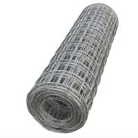 China Cheap And High Quality Hot Dipped Galvanized 100 x 100mm Stainless Steel Galvanized Iron Welded Wire Mesh for sale