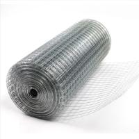 China Professional Manufacture 2x2 Galvanized Welded Wire Mesh for Chicken Rabbit Cage for sale