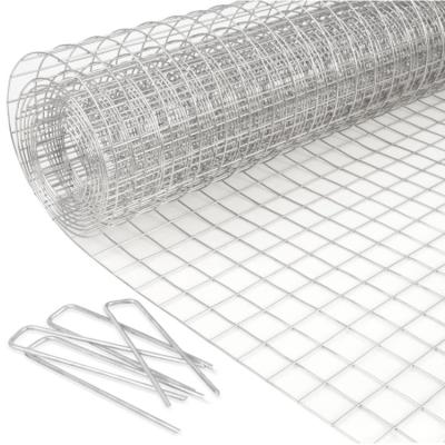 China Weaving Style Welding 26 Gauge 5.5x5.5 Hardware Cloth Electric Galvanized Welded Wire Mesh for sale