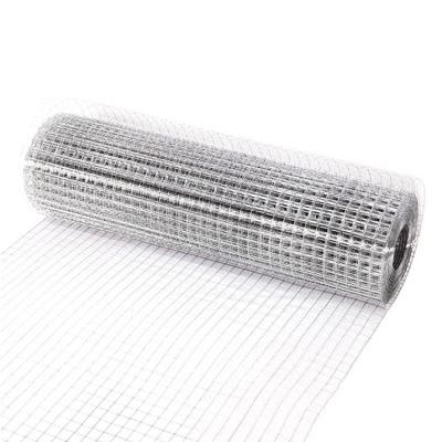 China Galvanized Aviary Mesh Roll for Chicken Coop 5-50m Length 0.2-2m Width Welded Wire Mesh for sale