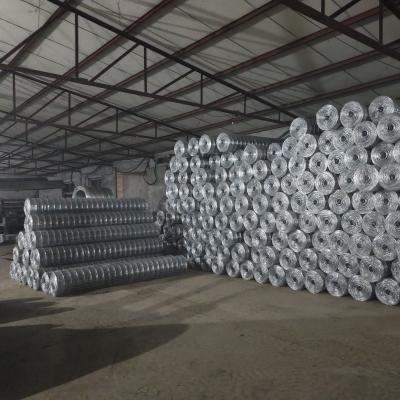 China Direct Galvanized or Black 10 Gauge Coal Mine Welded Wire Mesh For Underground Mining for sale