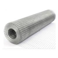 China Direct Sale Galvanized Welded Wire Mesh Roll for Bird Cage Rabbit Customized Width for sale