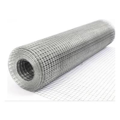China Direct Sale Galvanized Welded Wire Mesh Roll for Bird Cage Rabbit Customized Width for sale