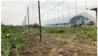 China Cattle Fence for Sports & Farming: Electro Galvanized Veldspan Gate Field Fence for sale