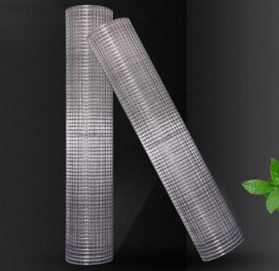 China Galvanized Steel Welded Wire Mesh Rolls for Customized Construction Solutions for sale