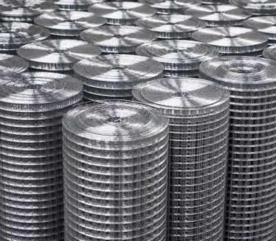 China Premium Welded Wire Mesh Panels & Rolls – Industrial Strength, Versatile Solutions for sale