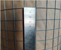 China Galvanized Welded Wire Mesh The Perfect Choice for Durable Garden Fencing Solutions for sale