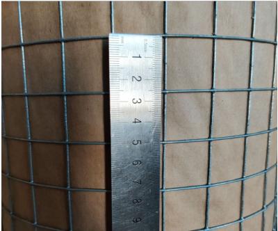 China Galvanized Welded Wire Mesh The Perfect Choice for Durable Garden Fencing Solutions for sale