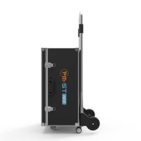 China EMTT Shockwave Therapy Machine 4 Tesla Veterinary Device for Horse Muscle Stimulation for sale