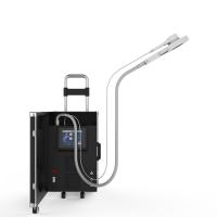 China Equine PEMF Physiotherapy Machine 4 Tesla Water Cooling for Muscle Swelling Inflammation for sale