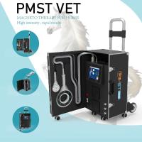 China Equine PEMF Physiotherapy Machine 4 Tesla Water Cooling for Muscle Swelling Inflammation for sale