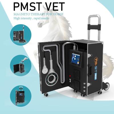China Equine PEMF Physiotherapy Machine 4 Tesla Water Cooling for Muscle Swelling Inflammation for sale