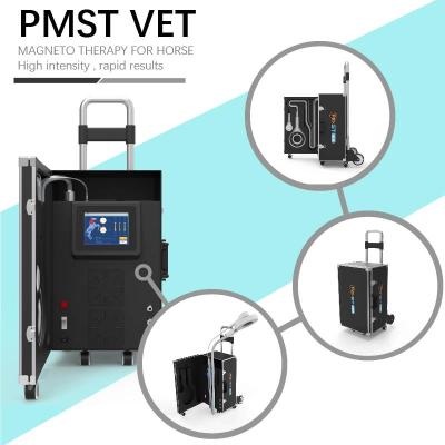 China EMTT Shockwave Therapy Machine 4 Tesla Veterinary Device for Horse Muscle Stimulation for sale