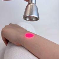 China 980nm 30W Diode Laser Machine for Vascular Blood Vessels Spider Veins Removal Physiotherapy for sale
