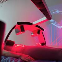 China Erchonia Laser Physiotherapy Machine 405nm 635nm Pain Relief 8000H Lamp Life for sale