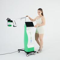 China 110cm Laser Physiotherapy Machine 10D Green Diode Emerald Laser Fat Reduce Machine for sale