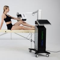 China Cold Laser Therapy Device 10D Diodes 808nm Physiotherapy Pain Relief Machine for sale