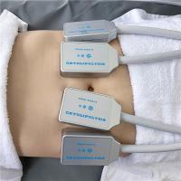 China Light Weight Portable EMS Physiotherapy Machine , Home Cryolipolysis Machine for sale
