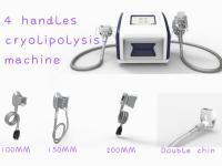 China Compact Size Cryolipolysis Fat Freezing Machine No Surgical Incision for sale