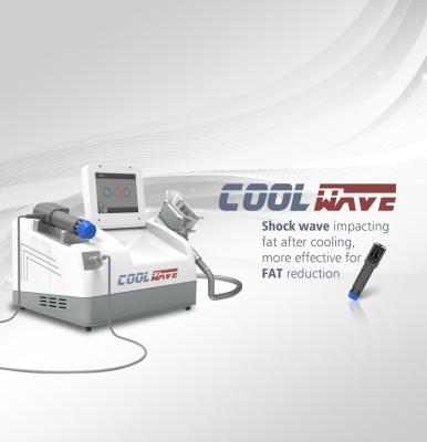 China Mobile Cryolipolysis Fat Freezing Machine For Weight Loss Compact Size for sale