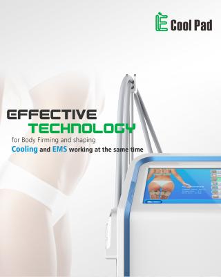 China Light Weight Portable EMS Physiotherapy Machine , Home Cryolipolysis Machine for sale