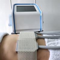 China Home Cryolipolysis Fat Freezing Machine For Body Shape Cellulite Reduction for sale