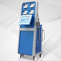 China 2 In 1 Type Portable Cryolipolysis Machine , Weight Loss Therapy Machine for sale