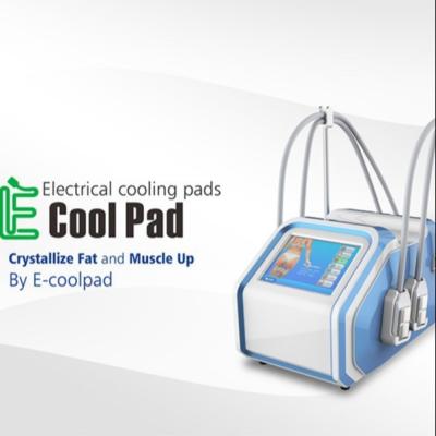 China 110V 60Hz Portable Cryolipolysis Fat Freezing Machine with EMS Muscle Stimulation 4 Channels for sale