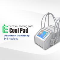 China Cryolipolysis Fat Freezing Machine with EMS 4 Handle 10.1 Inch Touch Screen for Weight Loss for sale