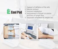 China Home EMS Cryolipolysis Fat Freezing Machine For Cellulite Reduction for sale