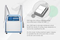 China Home EMS Cryolipolysis Fat Freezing Machine For Cellulite Reduction for sale
