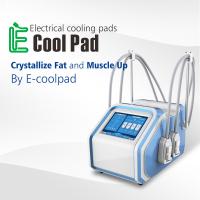 China 4 Handles 30Hz Cryolipolysis EMS Machine For Body Slimming for sale