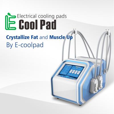 China Cryolipolysis EMS Machine 4 Handles Non Vacuum Fat Freezing Body Slimming Device 220V for sale