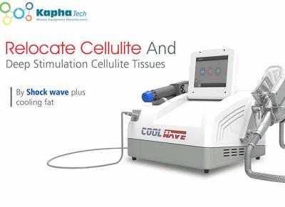 China Vacuum 150MM 80PCS Cryolipolsis Fat Freezing Machine for sale