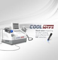 China Cryolipolysis Fat Freezing Machine 150mm Cool Sculpting Body Slimming with Dual Handles for sale