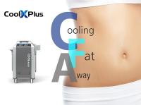China Double Channel Cryolipolysis Fat Freezing Machine 4 Handles Chin Treatment Slimming Device -11°C for sale