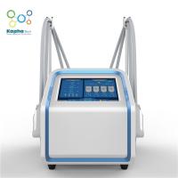 China 100V Four Applicators Cryolipolysis Fat Freeze Slimming Machine for sale