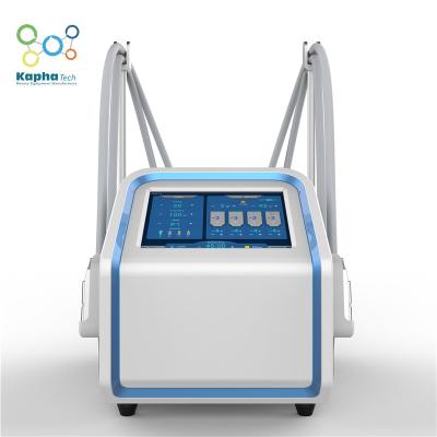 China 100V Four Applicators Cryolipolysis Fat Freeze Slimming Machine for sale