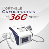 China Home Use Cryolipolysis Fat Freezing Machine 100Nm Body Slimming 110V 220V for sale
