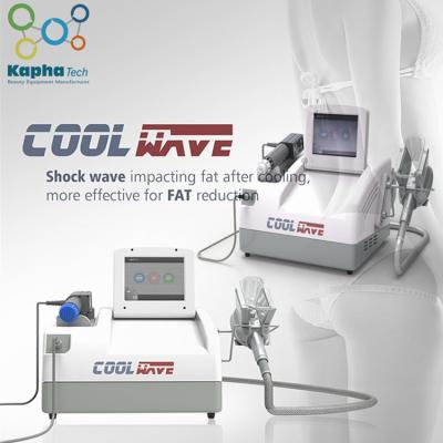 China 150mm Cryolipolysis Fat Freezing ESWT Shockwave Therapy Machine 2 in 1 for sale