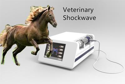 China Equine Shock Wave Therapy Machine 16Hz 200mJ for Horses ESWT for sale
