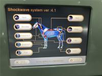 China Radial Extracorporeal Equine Shockwave Physiotherapy Machine for sale