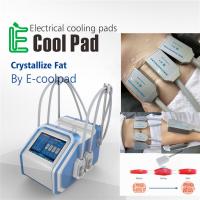China Home EMS Cryolipolysis Fat Freezing Machine For Cellulite Reduction for sale