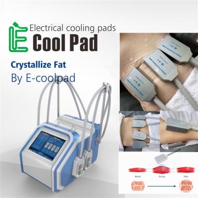 China Home EMS Cryolipolysis Fat Freezing Machine For Cellulite Reduction for sale