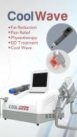 China ESWT  Fat Freezing Machine Cryolipolysis With Shock Wave 2 In 1 Machine Therapy for sale