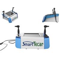 China Smart Tecar Therapy Machine 300W Monopole RF CET RET for Pain Relief and Face Lifting for sale