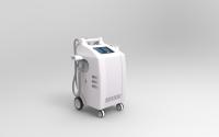 China 250W Cryolipolysis Fat Freezing Machine Double Handle with -11°C Cooling for Slimming for sale