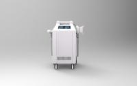 China 250W Cryolipolysis Fat Freezing Machine Double Handle with -11°C Cooling for Slimming for sale